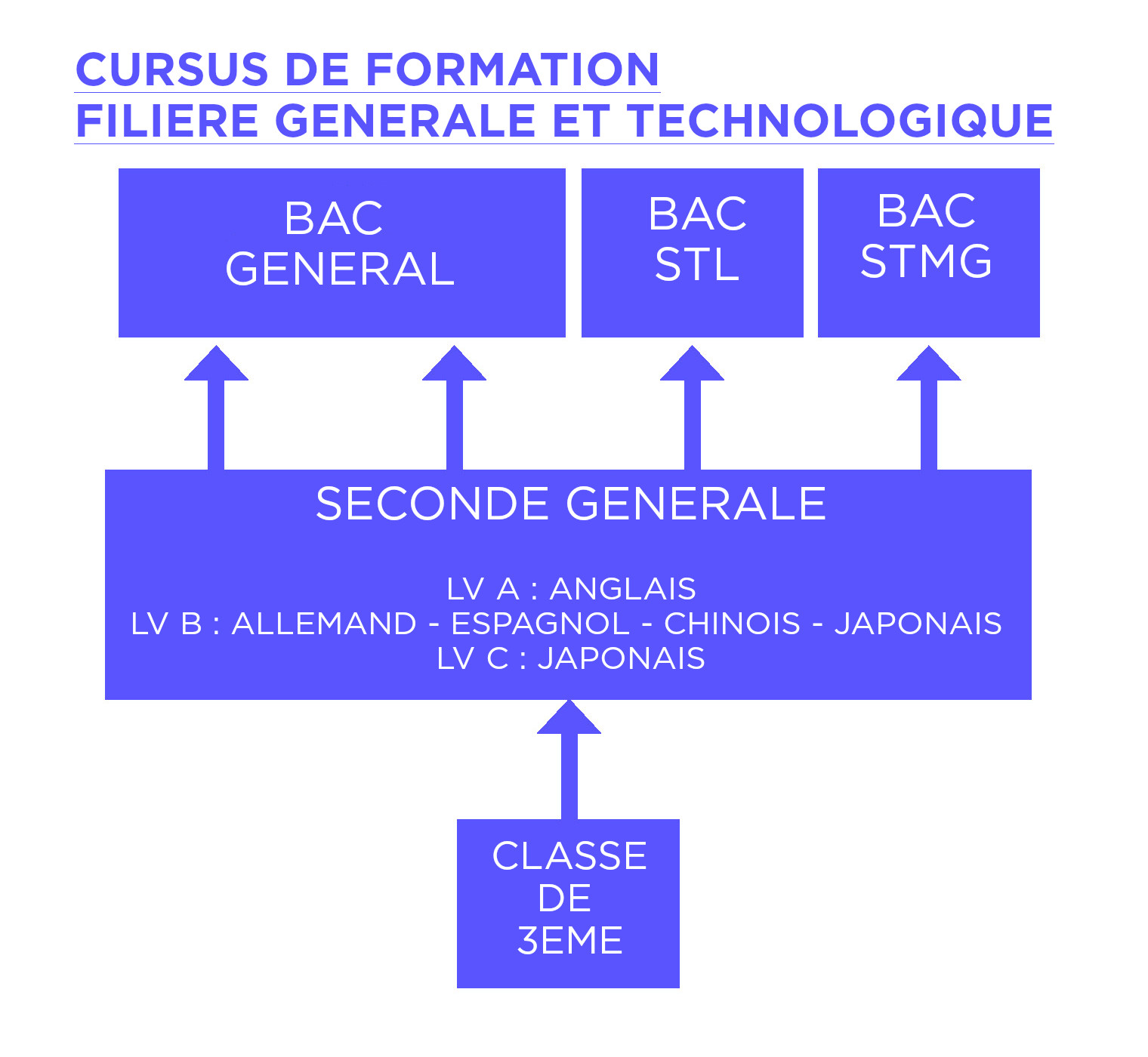 Voie Générale et Technologique - Elisa Lemonnier lycée polyvalent